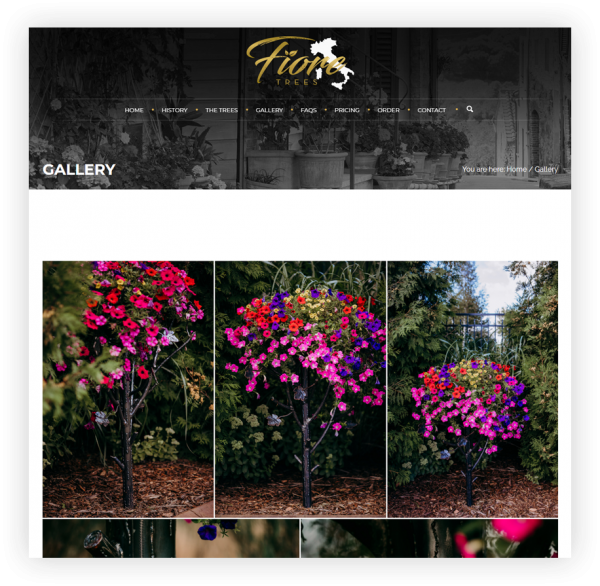 Fiore Trees • Joker Media